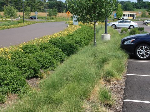 Infiltration Trench – Green Asset Resources