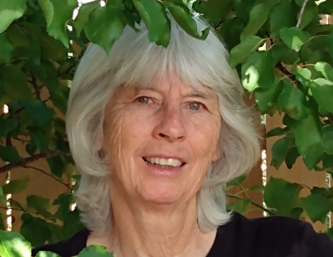 Staff | Southwest EFC